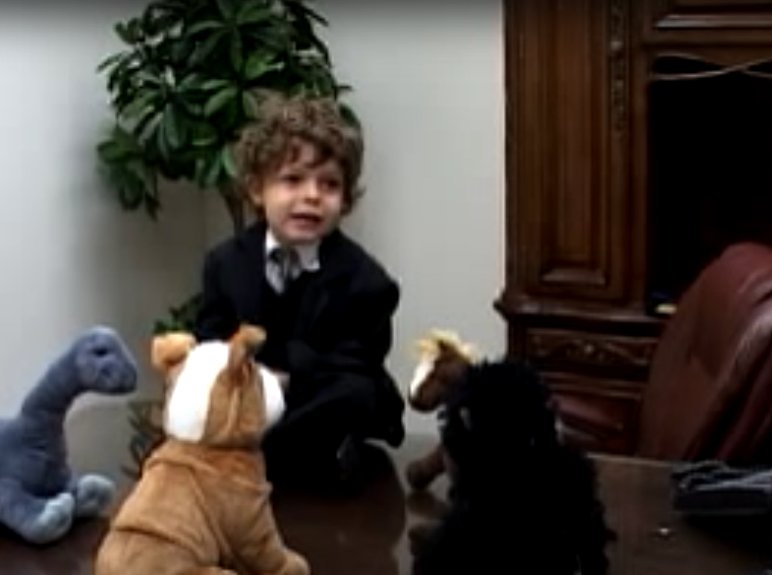 Little CEO: The short that started it all